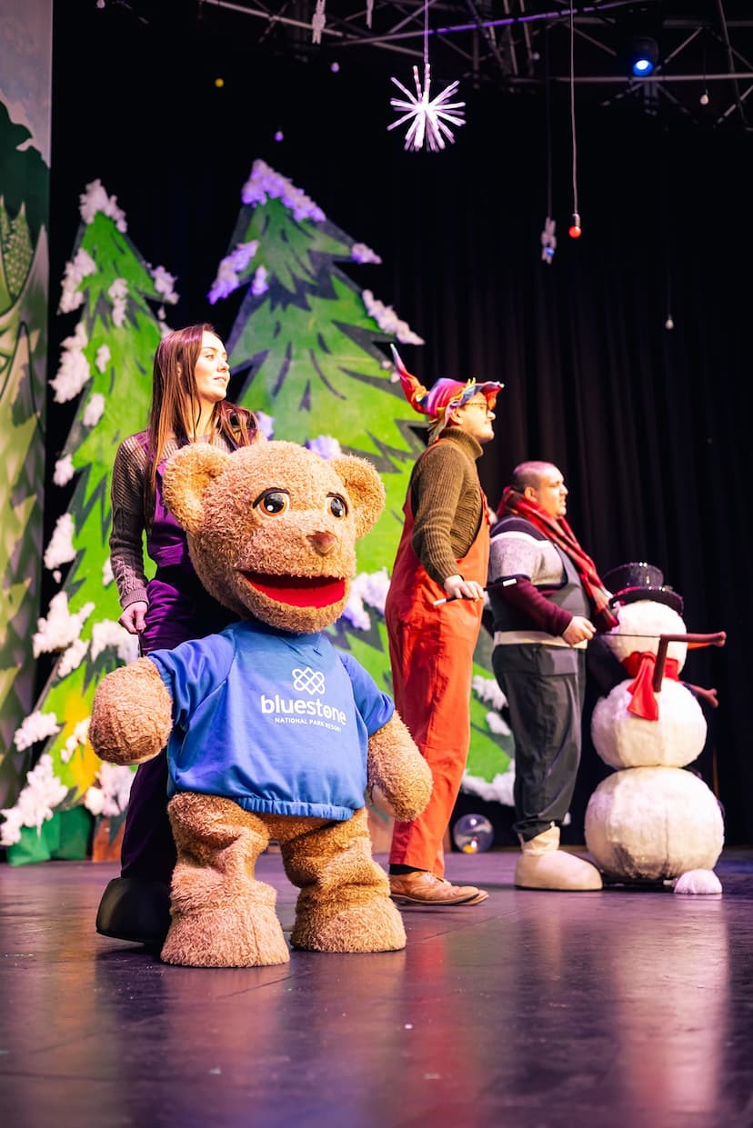 Kingdom Of The Elves | Christmas Breaks | Bluestone Wales