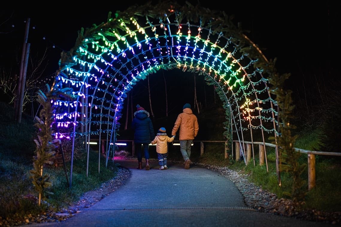 Half Term Breaks | February, May & October | Bluestone Wales