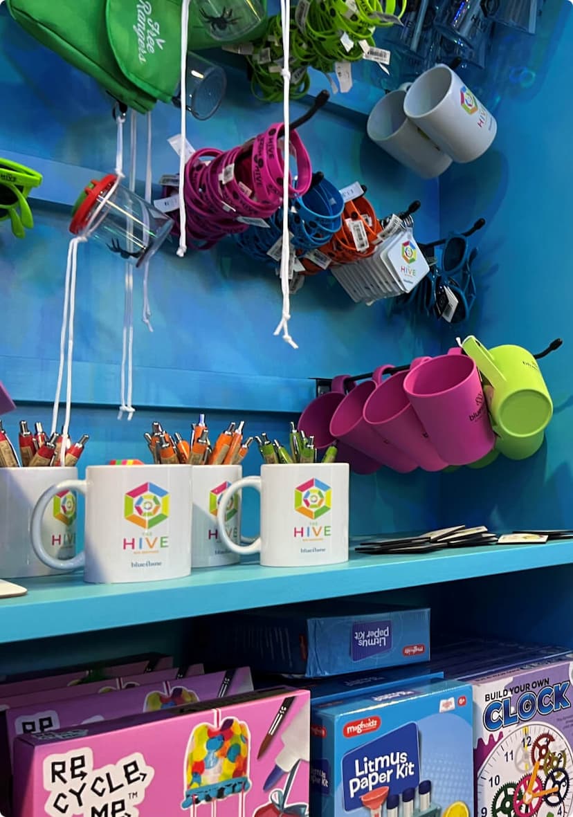 The Hive | Indoor Play Centre | Bluestone Wales