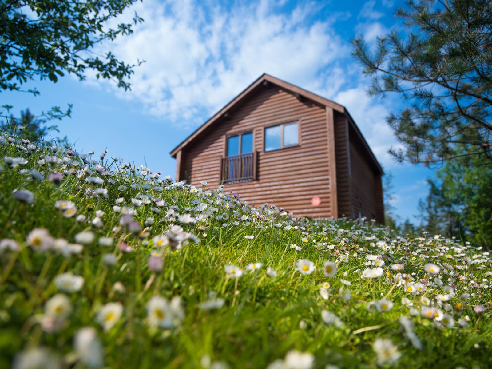About Us | Bluestone National Park Resort, Pembrokeshire