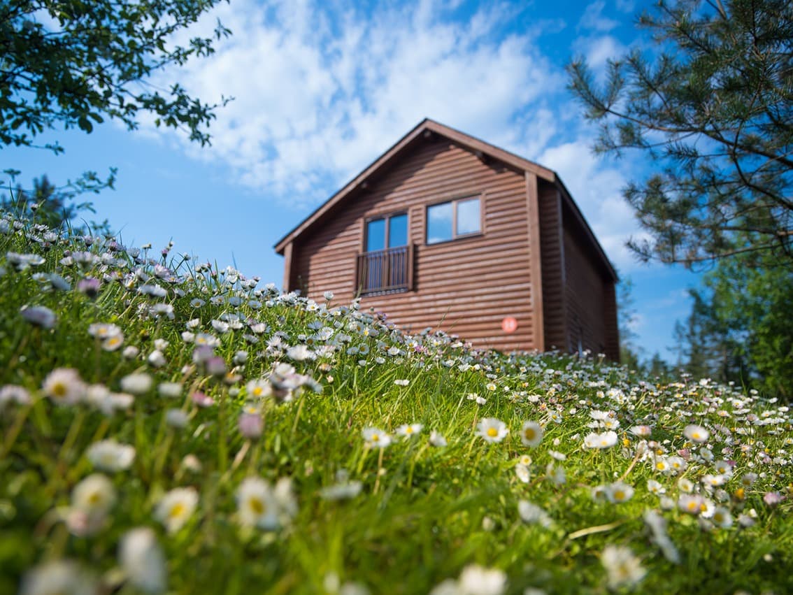Accommodation | Lodges & Cottages | Bluestone Wales