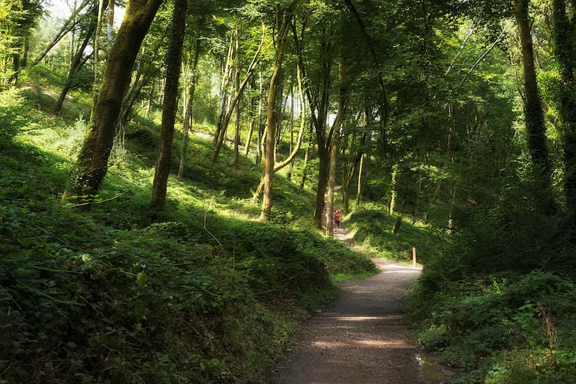 Maps | Resort Guides and Routes | Bluestone Wales