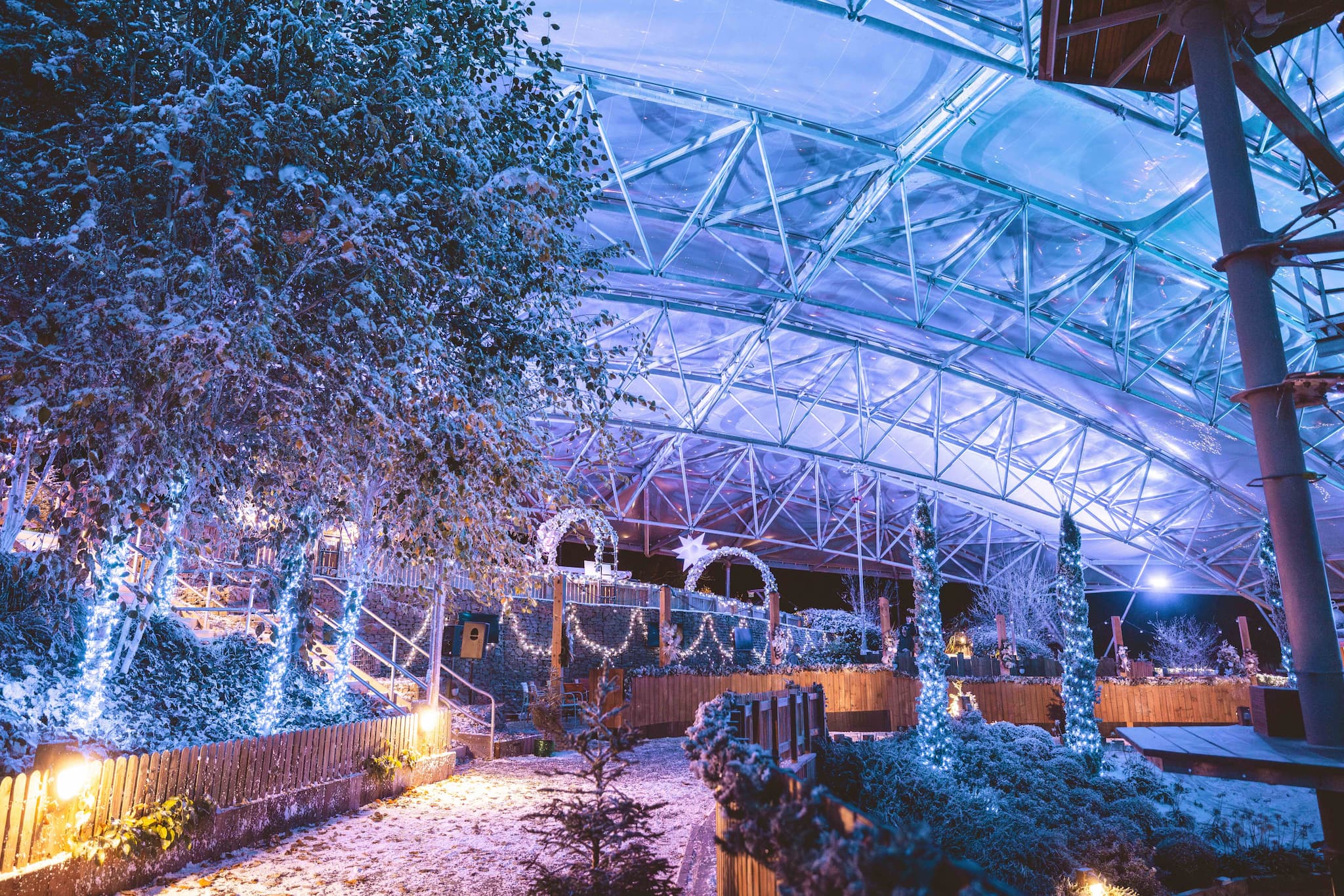 Christmas Breaks & Holidays UK | Bluestone Wales