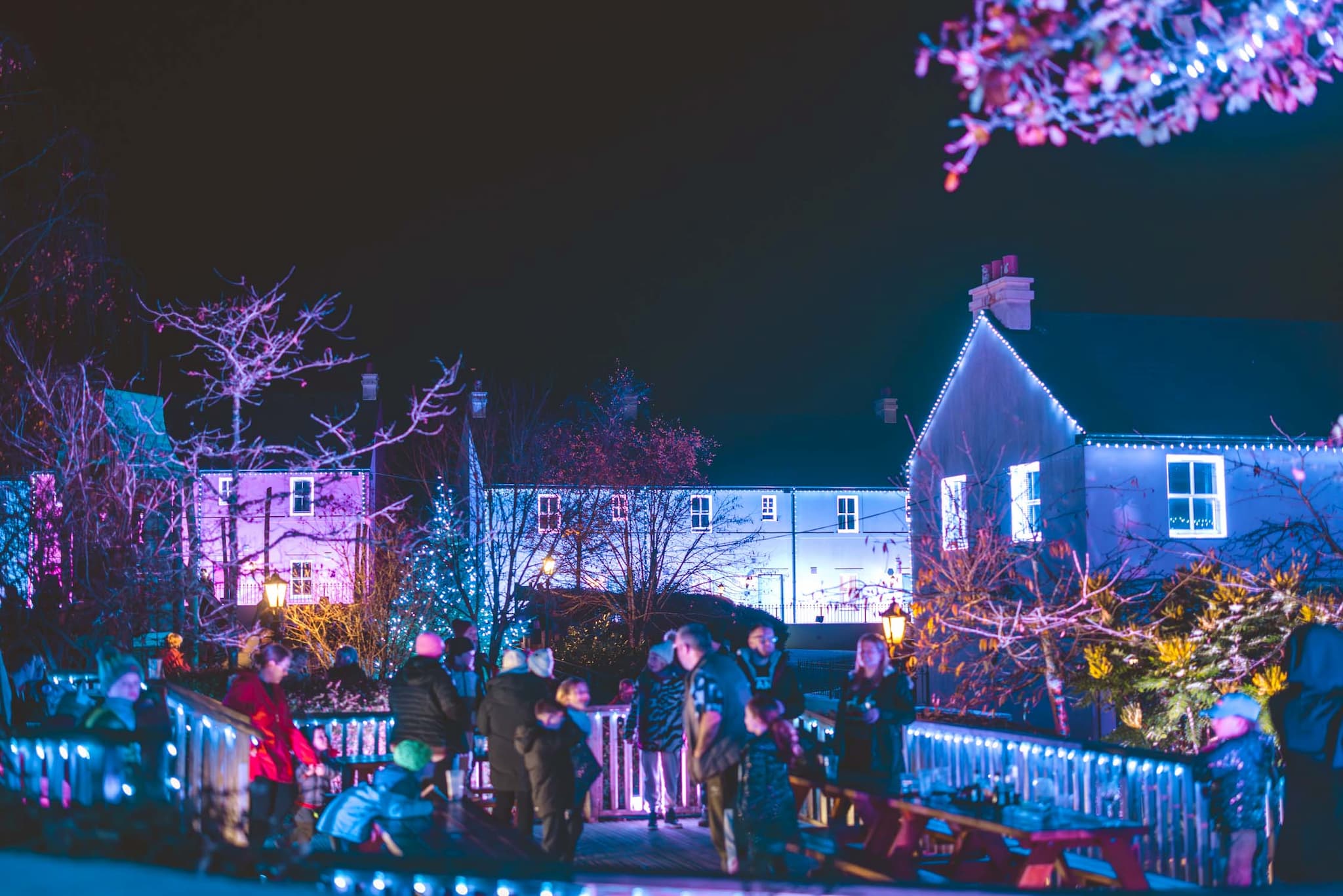 Kingdom Of The Elves | Christmas Breaks | Bluestone Wales