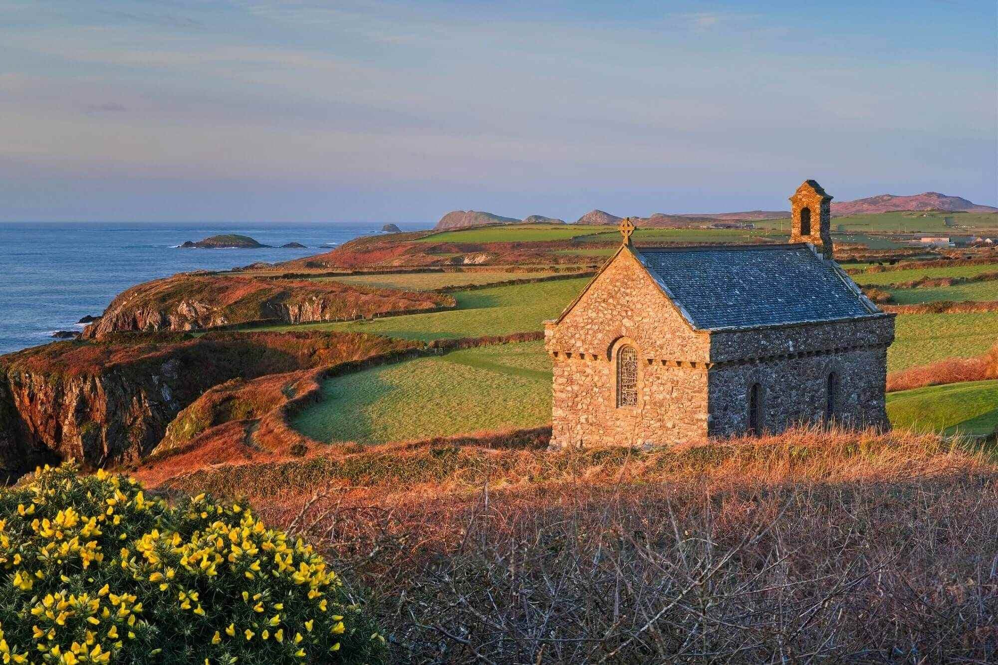 St David's Day Guide | History & Culture | Bluestone Wales