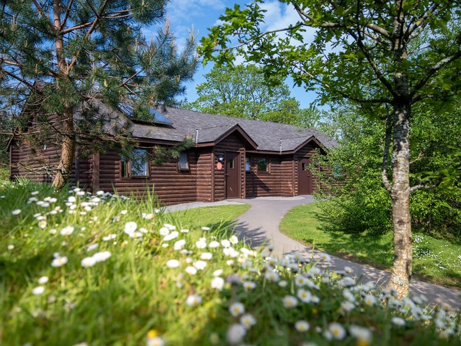 Accommodation | Lodges & Cottages | Bluestone Wales