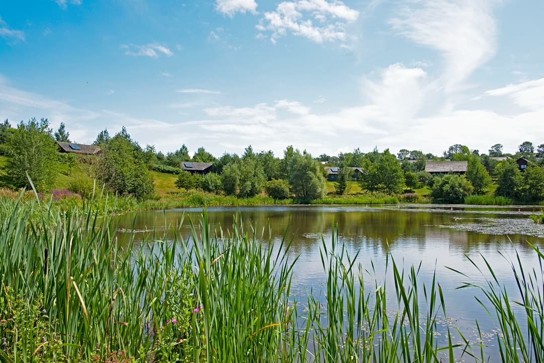 Sitemap | Bluestone Wales