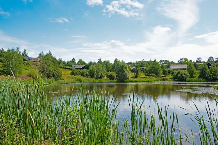 Resort - Attractions, Spa, Dining, Village & More - Bluestone Wales