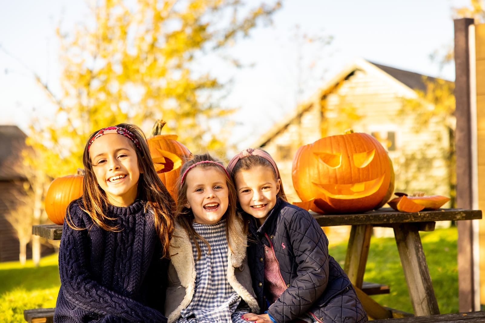 Short Breaks & Holidays UK | Bluestone Wales