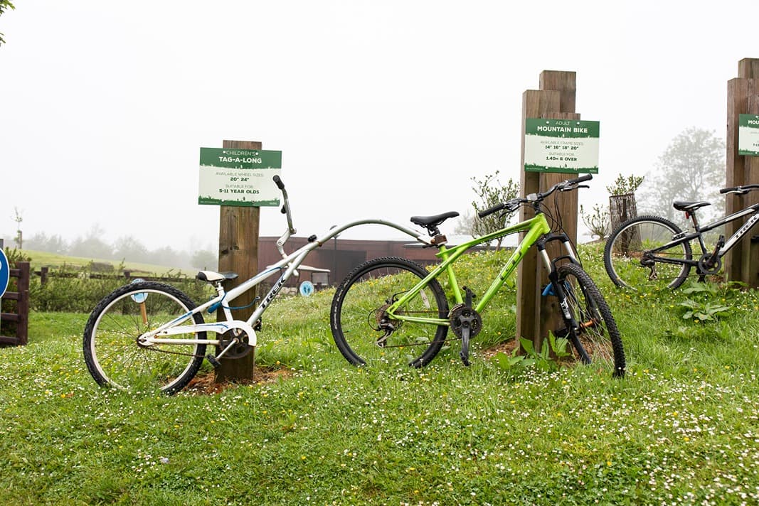 Bikes & Buggies | On Resort Transport Hire| Bluestone Wales