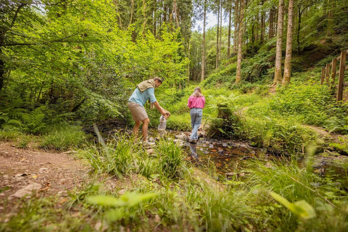 Maps | Resort Guides and Routes | Bluestone Wales