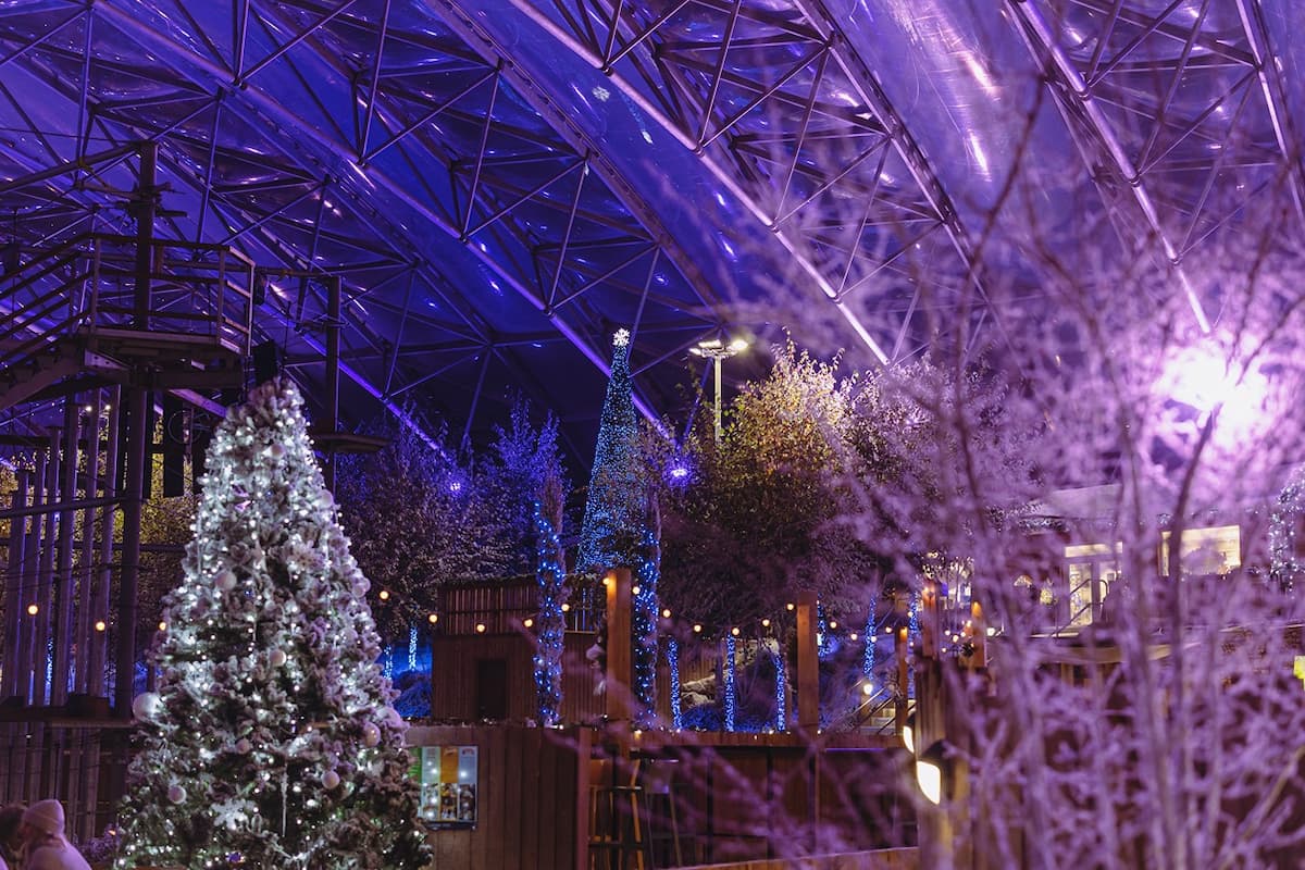 Kingdom Of The Elves | Christmas Breaks | Bluestone Wales