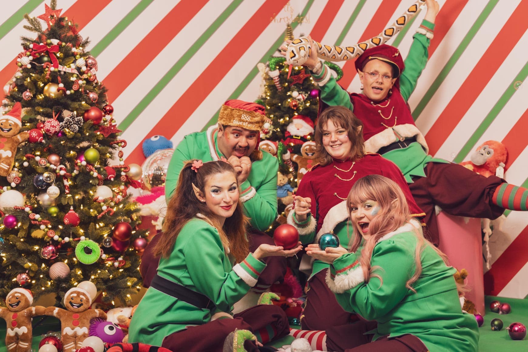 Special Offers, Deals & Discounts | Bluestone Wales