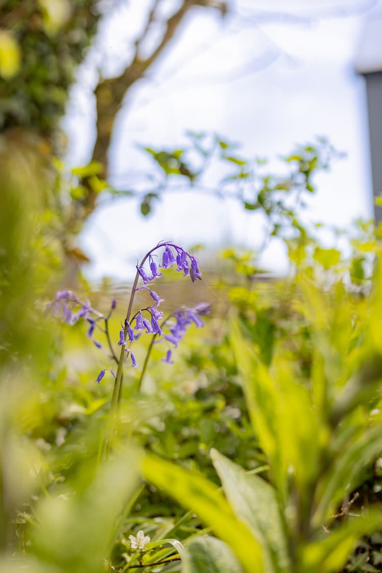 Spring Breaks & Holidays | Bluestone Wales