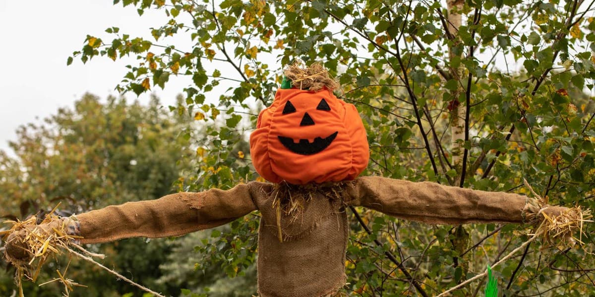 Activities | Things To Do | Bluestone Wales