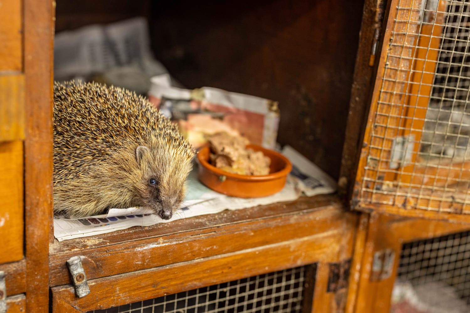 Community Programme | Sustainability | Bluestone Wales